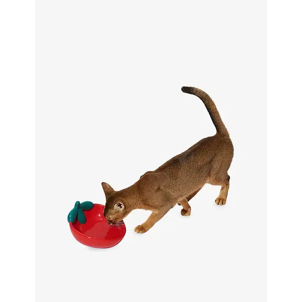 VETRESKA Strawberry Ceramic Pet Bowl