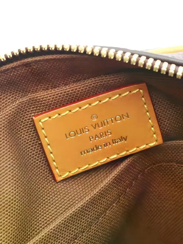 LOUIS VUITTON 2021 Monogram Danube Messenger Bag