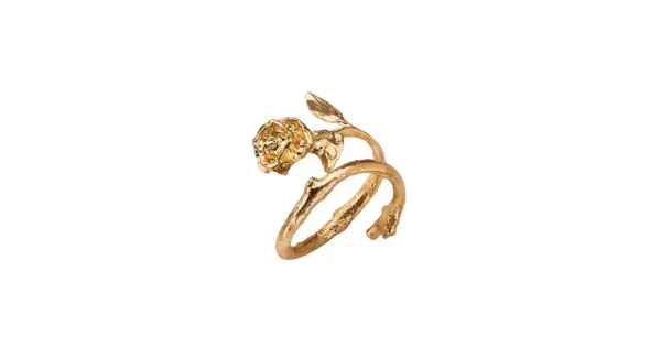 Jennifer Zeuner Jewelry Dora Ring - One-color