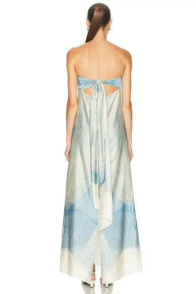 Alexis Dianne Maxi Dress