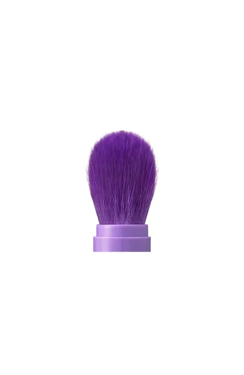 Anna Sui Pocket Brush