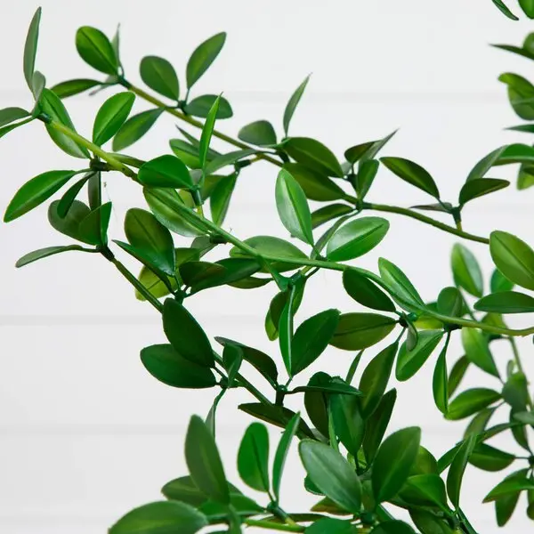 NEARLY NATURAL 5' Artificial Shady Lady Black Olive Tree