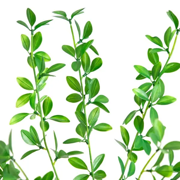 NEARLY NATURAL 6' Artificial Shady Lady Black Olive Tree