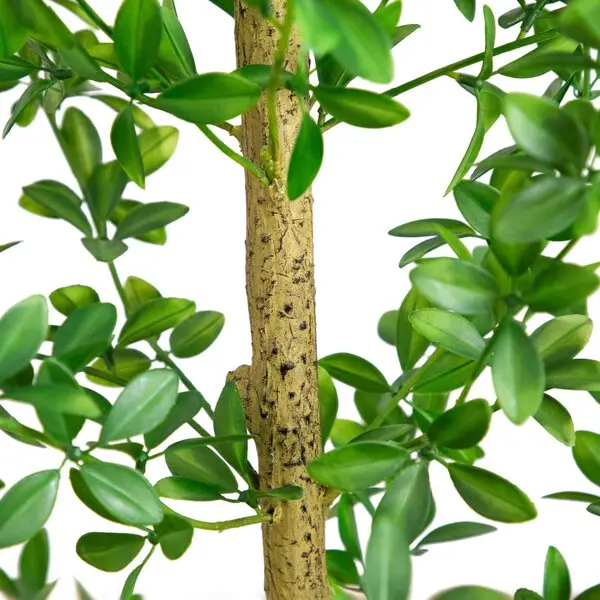 NEARLY NATURAL 6' Artificial Shady Lady Black Olive Tree