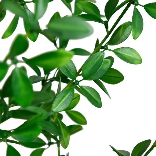 NEARLY NATURAL 7' Artificial Shady Lady Black Olive Tree