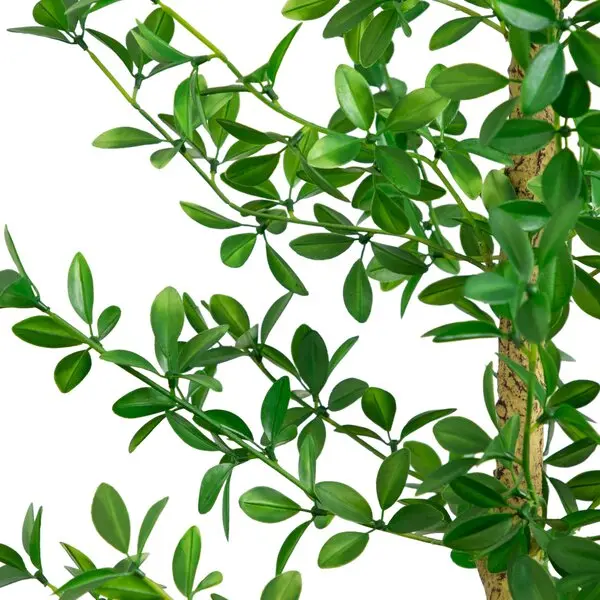 NEARLY NATURAL 7' Artificial Shady Lady Black Olive Tree