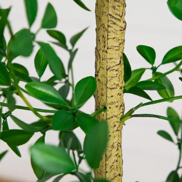 NEARLY NATURAL 7' Artificial Shady Lady Black Olive Tree