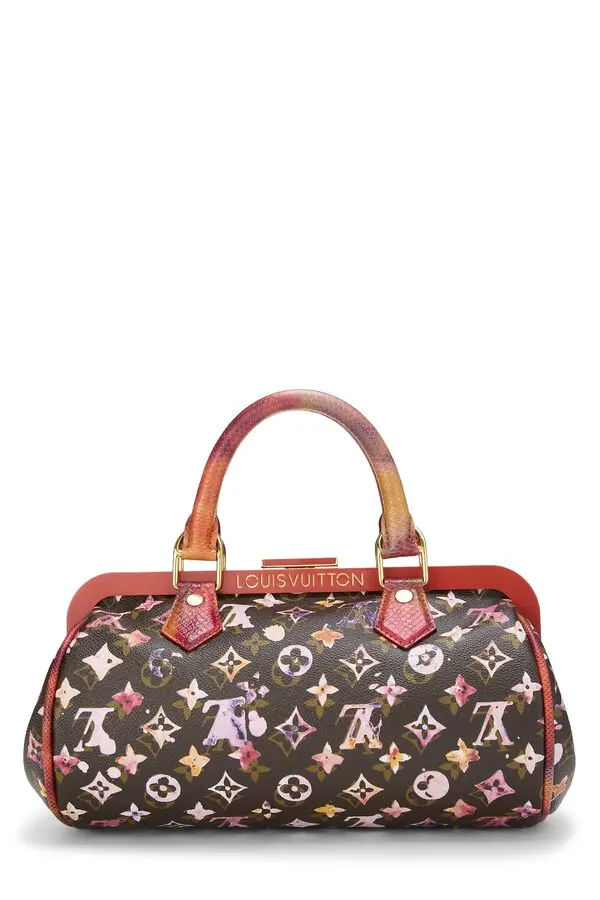 LOUIS VUITTON Richard Prince Monogram Watercolor Papillon Frame Bag