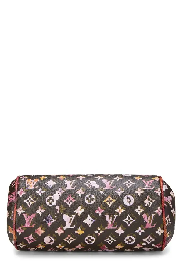 LOUIS VUITTON Richard Prince Monogram Watercolor Papillon Frame Bag
