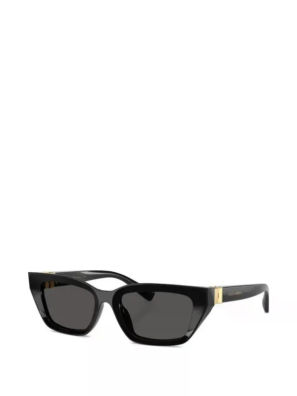 Dolce & Gabbana Cat Eye-frame Sunglasses