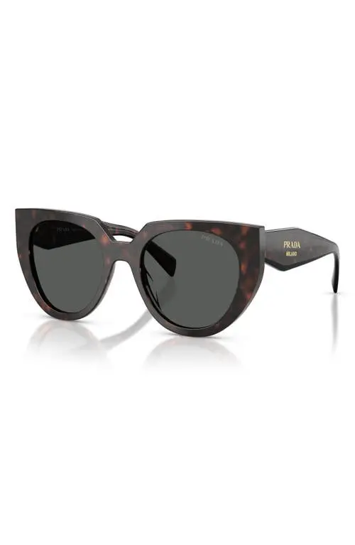 Prada 52mm Cat Eye Sunglasses - Root Tortoise/dark Grey