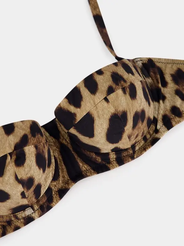 Dolce & Gabbana Leopard-print Balconette Bikini Top