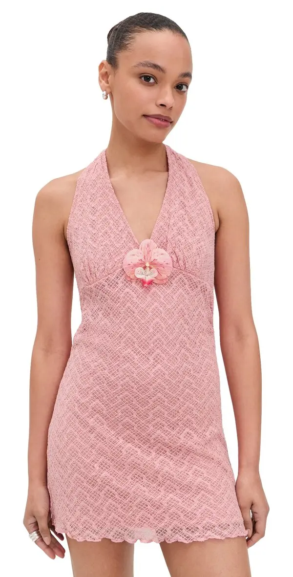 BAILEY ROSE Lace Halter Mini Dress
