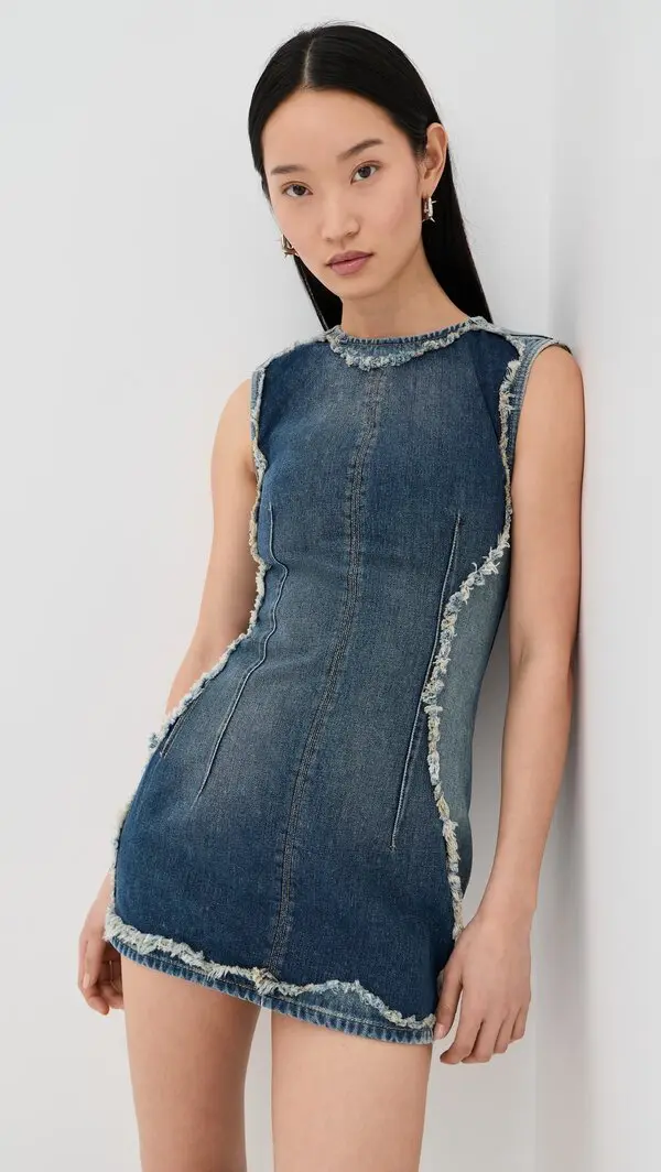 Acne Studios Denim Mini Dress