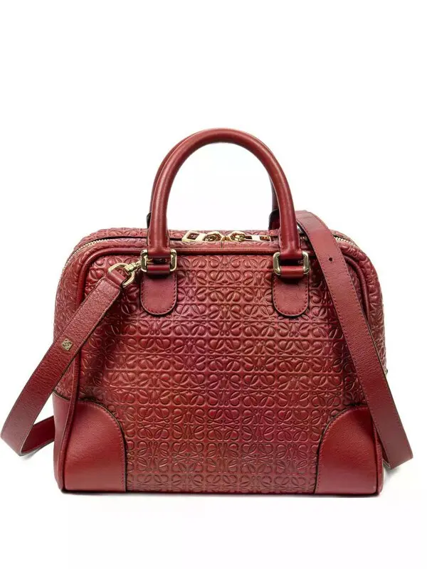 Loewe Amazona Embossed Leather Handbag