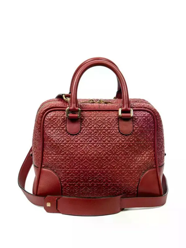 Loewe Amazona Embossed Leather Handbag
