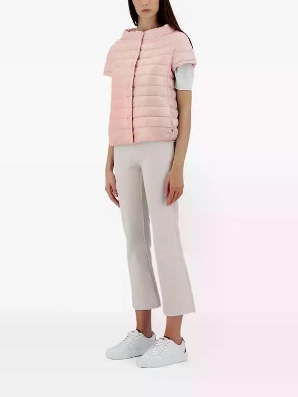 Herno Quilted Short-sleeve Jacket - Pink