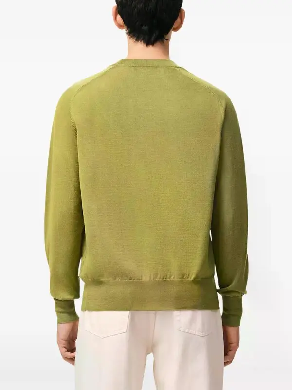 Ami Extrafine Merino Wool Crewneck Sweater With De Coeur Embroidery - Green