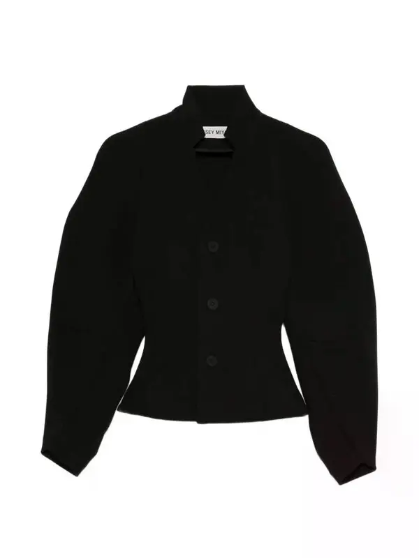 Issey Miyake Buttoned Jacket