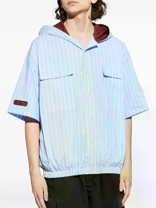 PDF Striped Hooded Shirt