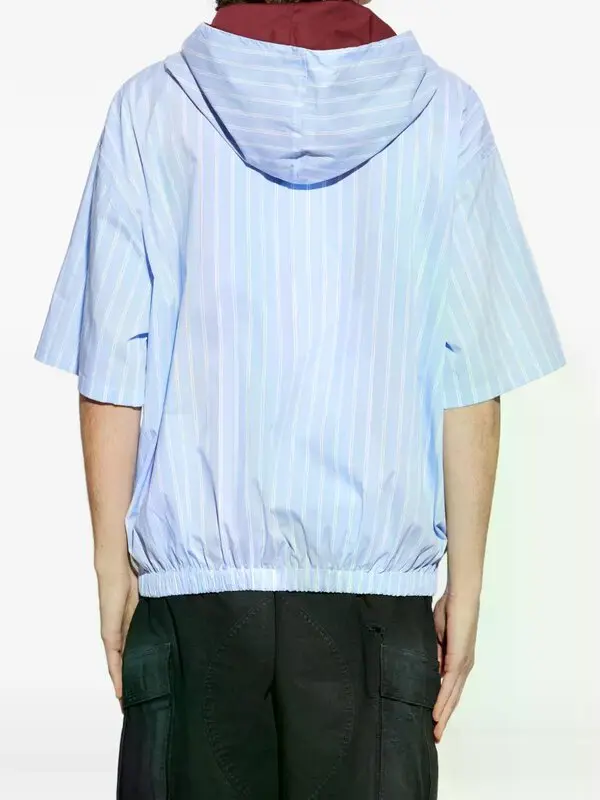 PDF Striped Hooded Shirt
