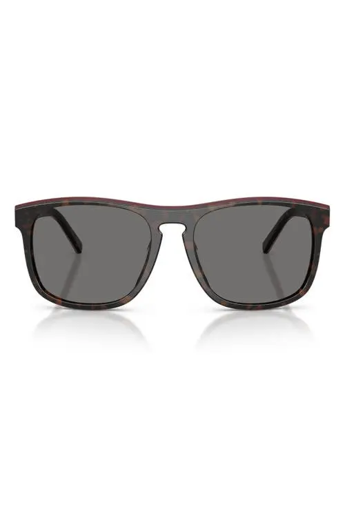 SCUDERIA FERRARI Polarized Square Sunglasses - Havana/red/havana/polar