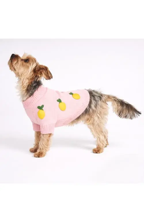 FOUND MY ANIMAL Lemon 3d Icon Dog Sweater
