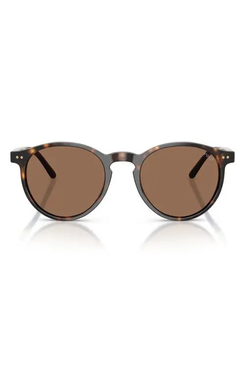 Polo Ralph Lauren 50mm Round Sunglasses - Shiny Dark Havana/brown