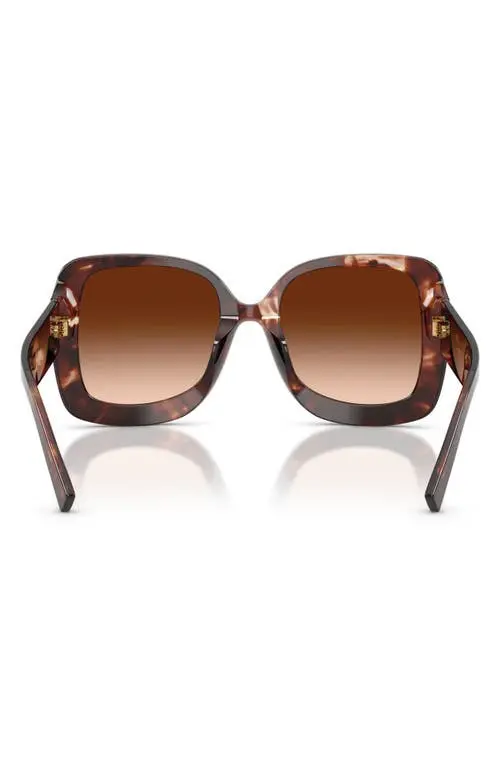 Dolce & Gabbana 55mm Gradient Square Sunglasses