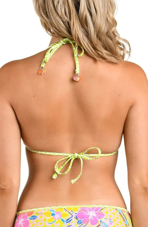 CITRUS Across The Universe Triangle Bikini Top