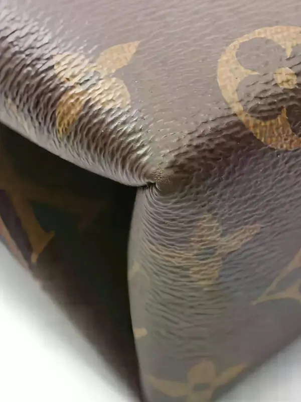 LOUIS VUITTON 2021 Bb Rocky Monogram Canvas Tote