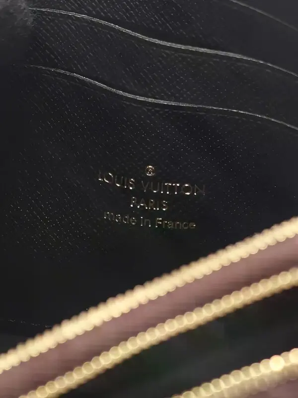 LOUIS VUITTON 2020 Monogram-pattern Double-zip Pochette