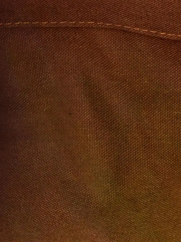 LOUIS VUITTON Pochette Accessoires Nm Monogram Canvas - Brown