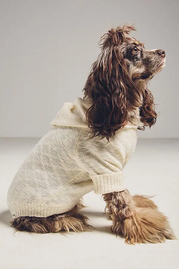 FURB Slub Knit Pet Hoodie