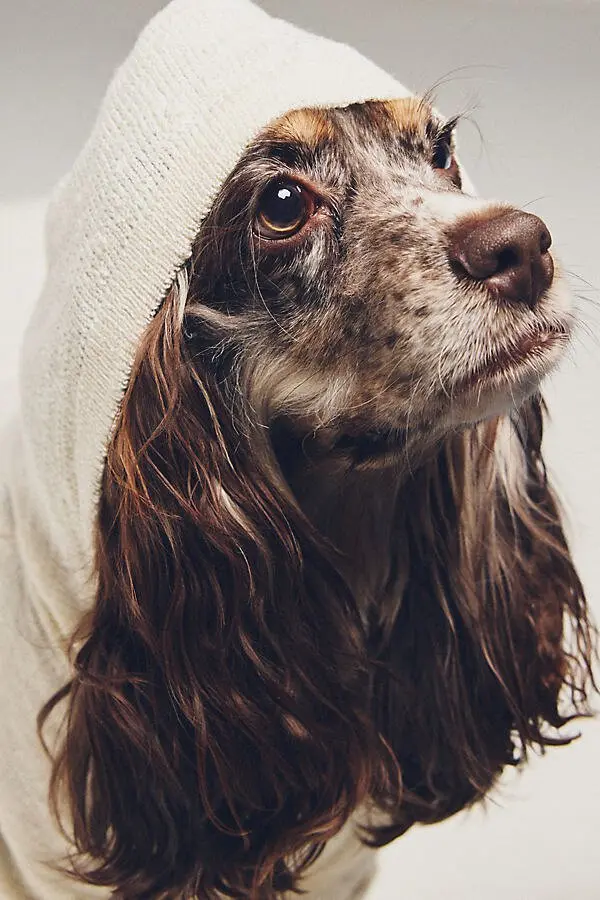FURB Slub Knit Pet Hoodie