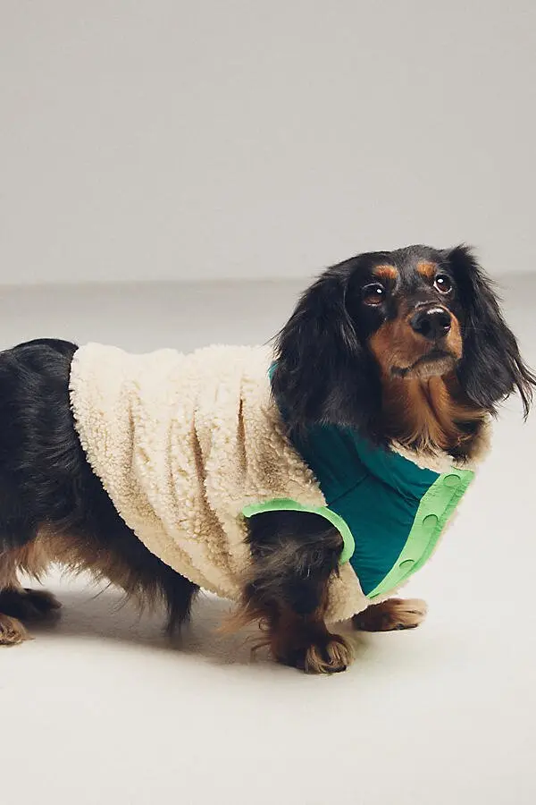 FURB Sherpa Pet Vest Jacket