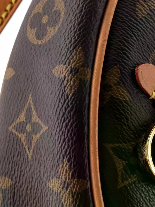 LOUIS VUITTON Loop Handbag Monogram Canvas