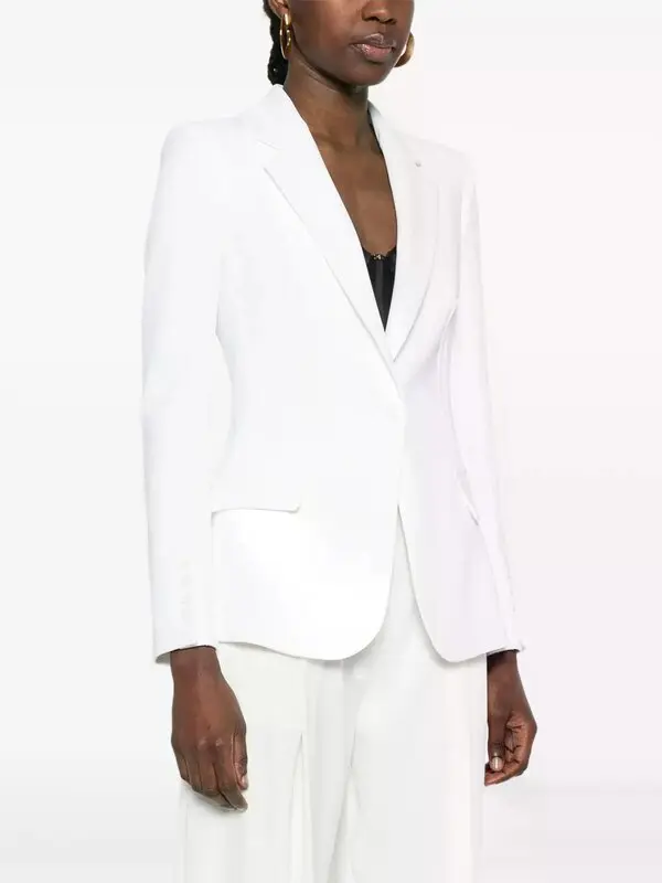 Elisabetta Franchi Buttoned Blazer