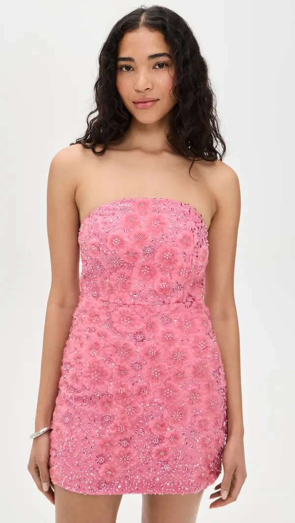 Endless Rose Sequin Lace Strapless Mini Dress