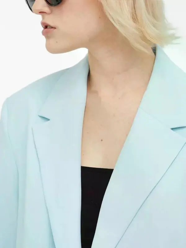SAMSOE SAMSOE Notched-lapel Buttoned Blazer - Blue