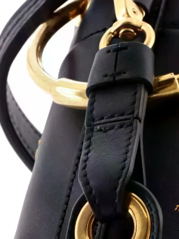 Chloé Roy Embroidered Leather Mini Bucket Bag