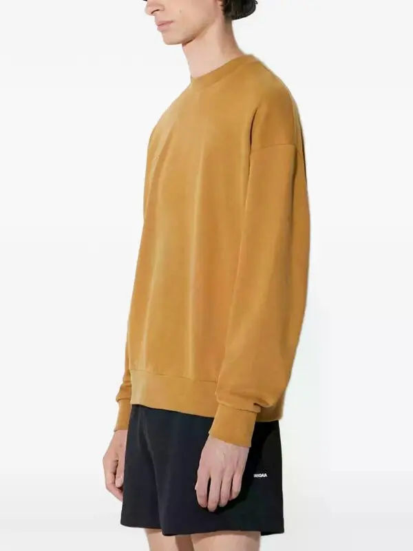 PANGAIA 365 Heavyweight Sweatshirt - Brown