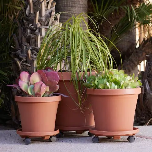 BLOEM 16 Inch Round Planter Caddy With Wheels