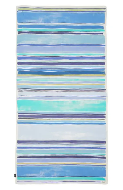 Echo Painted Stripe Scarf - Chambray