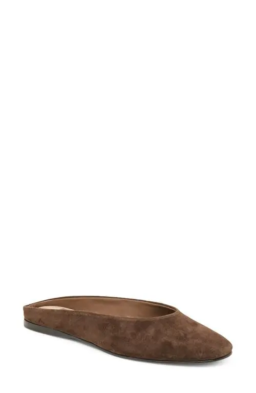 Dolce Vita Eila Mule - Dark Brown Suede
