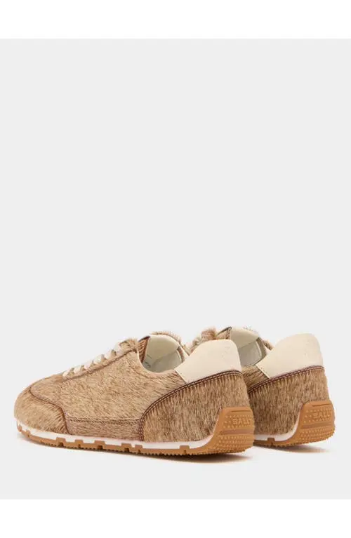 Bally Quarry Sneaker In Pony Hair