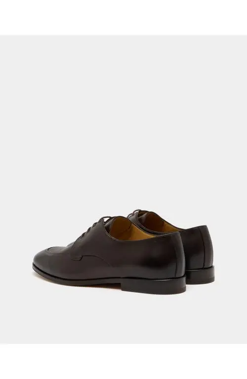 Bally Regent Derby - Brown