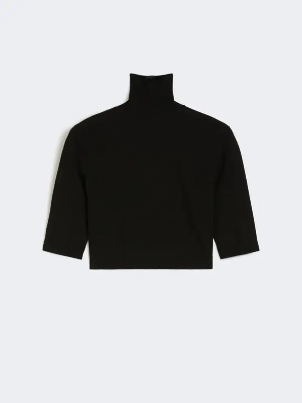 Max Mara Cropped Turtleneck Top