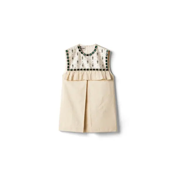 Miu Miu Embroidered Canvas Mini Dress