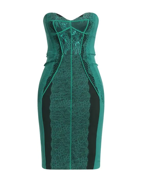 Elisabetta Franchi Mini Dress